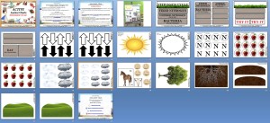 Active Anchor Chart Nitrogen Cycle - TreeTopSecret Education